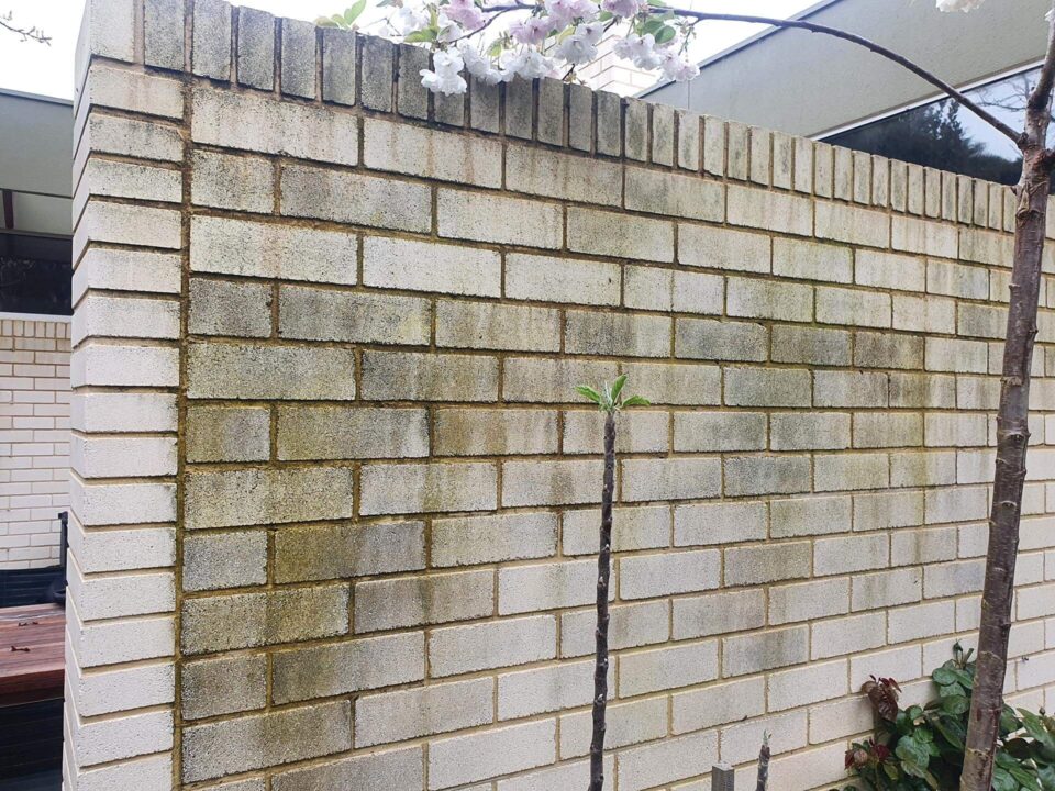 Types Of Stains On Bricks And Brickwork - With Images | AAA Brick Cleaning
